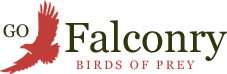 Locations | Go Falconry